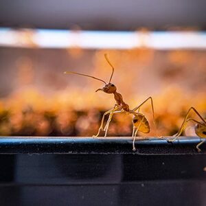 Fueled by Plastic – Part II | weatherology°